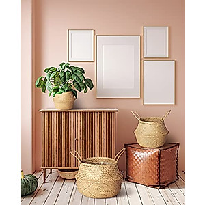 Artera Woven Seagrass Plant Basket - Wicker Belly Basket Planter Indoor with Plastic Liner and Handles, Natural Plant Pot for Fiddle Leaf Fig Tree, Snake Plant (Medium, Natural)