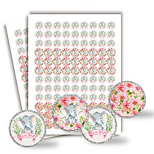 Watercolor Dahlia Floral Elephant Girl Baby Sprinkle Baby Shower Kiss Sticker Labels, 300 0.75" Circle Stickers for Chocolate Kisses by Amanda Creation, Great for Favors, Treats, Envelopes & Bags