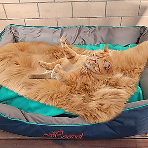 Asrug Faux Fur Pet Mat Ultra Cozy Throw Rug, Luxury Soft Faux Sheepskin Chair Cover Seat Pad Shag Fur Area Rugs, 24 by 36 inches (Khaki)