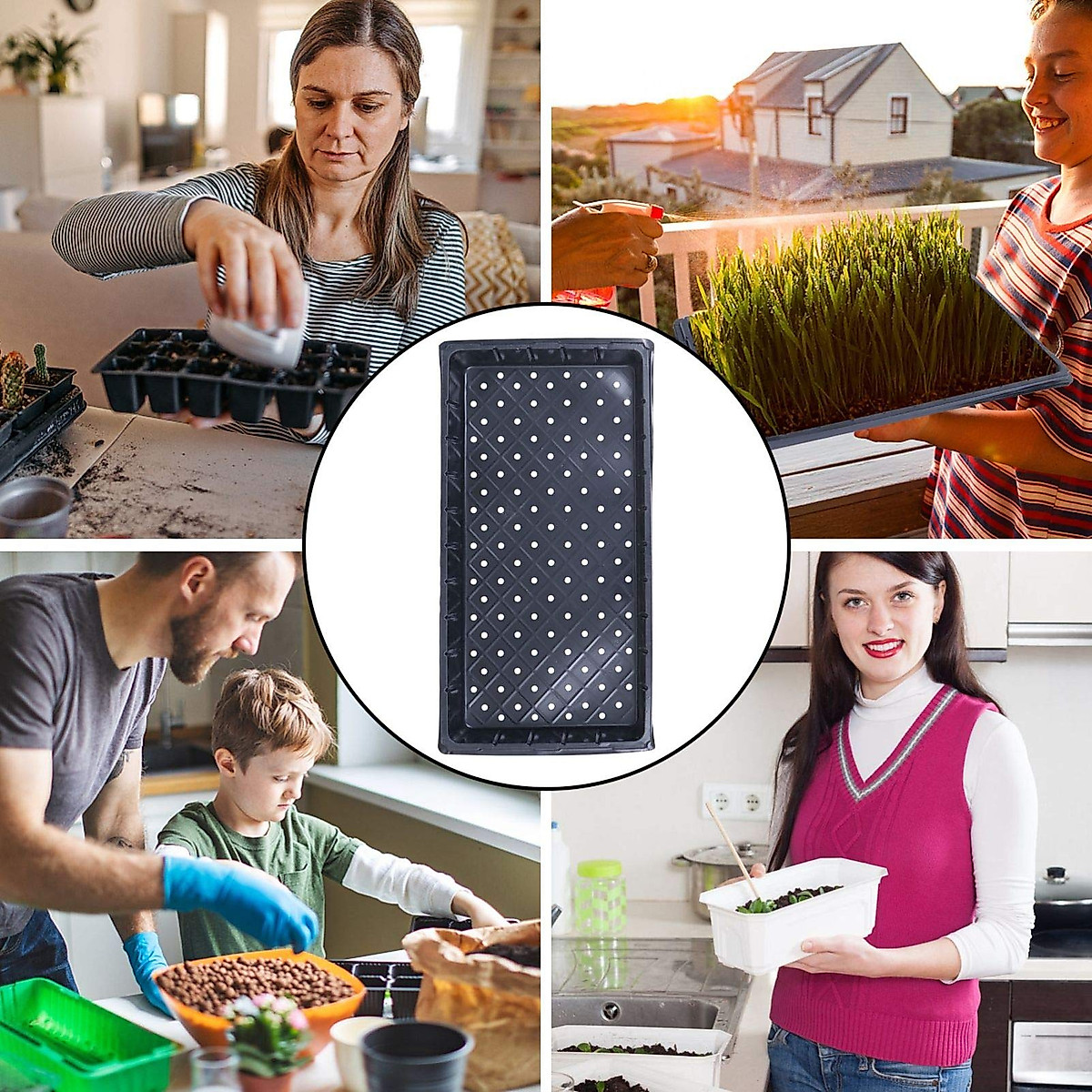 Cabilock 5Pcs Tray Plant Starter Tray Plastic Plants Garden Propagator Tray Plastic Propagation Tray Plastic Growing Tray Plastic Pallet Plastic Germination Tray Dome Sprout Plate