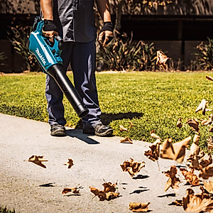 Makita XT286SM1 18V LXT Lithium-Ion Brushless Cordless 2-Pc. Combo Kit (4.0 Ah)