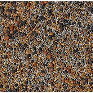 No-Till Cover Crop 13-Seed Mix (1 lb. Bag): [50% Clovers Plus Fenugreek, Vetch, Flax, Cowpeas, Buckwheat, Forage Peas, Millet, Lentils, Crimson Clover, Sweet Yellow, White Clover, Medium Red Clover]