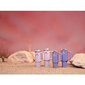 Stanley Quencher H2.0 Tumbler with Handle and Straw 30 oz | Flowstate 3-Position Lid | Cup Holder Compatible for Travel | Insulated Stainless Steel Cup | BPA-Free | Periwinkle Shimmer