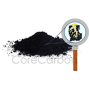 CoreCarbon 6-Pack Exact Fitment Carbon Pre-Filter Designed to Fit Honeywell Model HTT-022, Pet CleanAir HHT-013-HD, HHT-016-MP and HEPAClean Models HHT-011, 16200