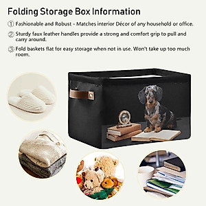 ALAZA Funny Dachshund Dog Black Foldable Storage Box Storage Basket Organizer Bins with Handles for Shelf Closet Living Room Bedroom Home Office 1 Pack