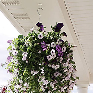 OOK Alloy Steel 534516 50340 Swag Hooks, White