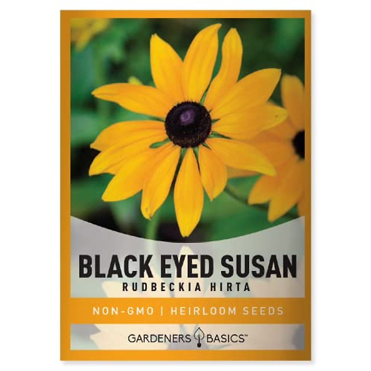 Black Eyed Susan Seeds for Planting - Rudbeckia Hirta Flower Seeds for Cut Flower Gardens Beautiful Yellow and Black Flowers to Grow in Your Garden by Gardeners Basics