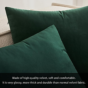 MIULEE Velvet Soft Soild Decorative Square Throw Pillow Cover Cushion Case for Spring Sofa Bedroom Car 12 x 20 Inch 30 x 50 Cm