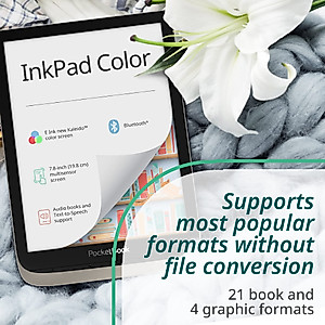 PocketBook InkPad Color, E-Book Reader, PB741-N-WW