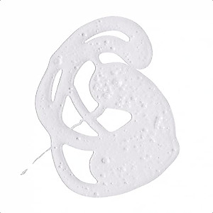 Drunk Elephant Cocomino Glossing Shampoo. Sulfate-Free and Color-Safe Gentle Shampoo for Hair and Scalp (240 mL / 8 Fl Oz)