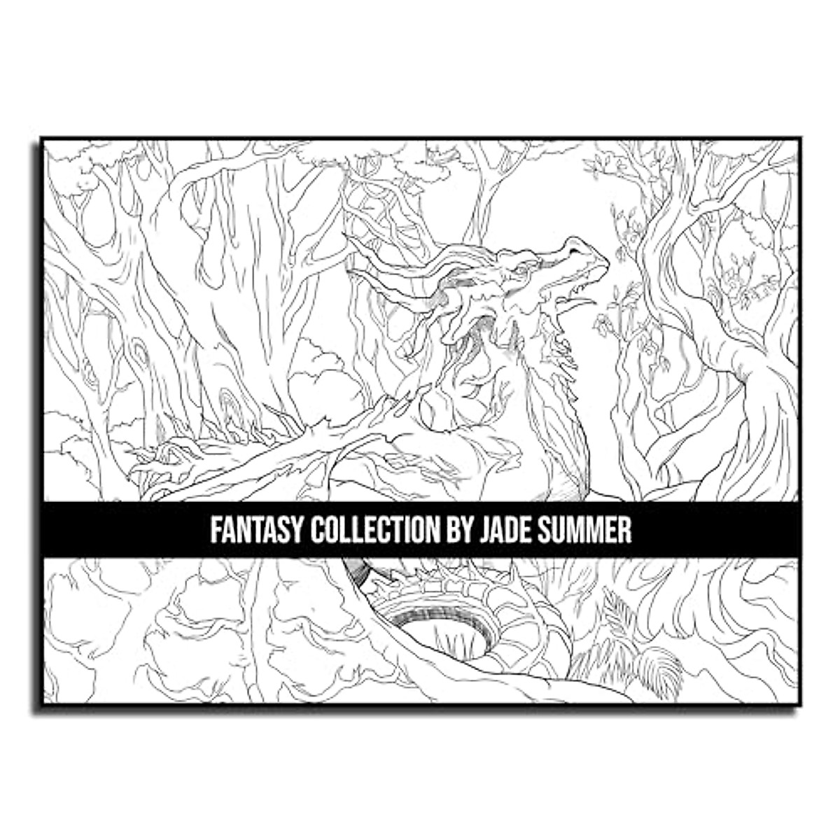 Fantasy Collection: An Adult Coloring Book with 100+ Incredible Coloring Pages of Mermaids, Fairies, Vampires, Dragons, and More!