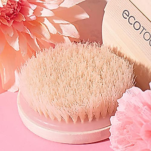 EcoTools Dry Body Brush, For Post Shower & Bath Skincare Routine, Removes Dirt & Promotes Blood Circulation, Helps Reduce Appearance of Cellulite, Eco-Friendly, Vegan & Cruelty-Free, 1 Count