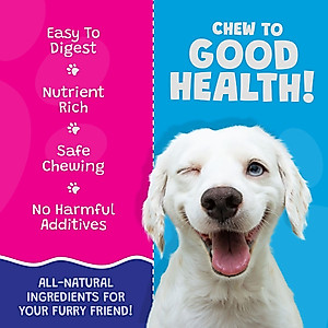 Woof Island Coconut Dog Bones - Premium, All Natural Coconut Dog Treats - Healthy Puppy Treats & Vitamin Rich Rawhide Free Dog Chews - (with Real Chicken)