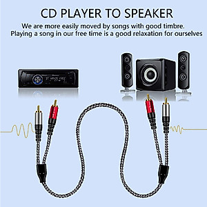 Yeung Qee RCA Cable 10 ft, 2RCA Male to 2RCA Male Audio Stereo Subwoofer Cable Nylon-Braided Auxiliary Audio Cord for Home Theater, HDTV, Amplifiers, Hi-Fi Systems,Speakers (10FT/3M)