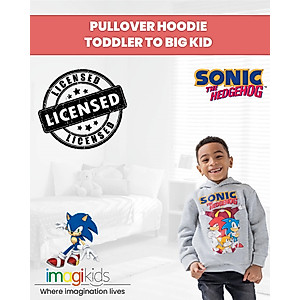 SEGA Sonic The Hedgehog And Friends Little Boys Fleece Hoodie Grey 7-8