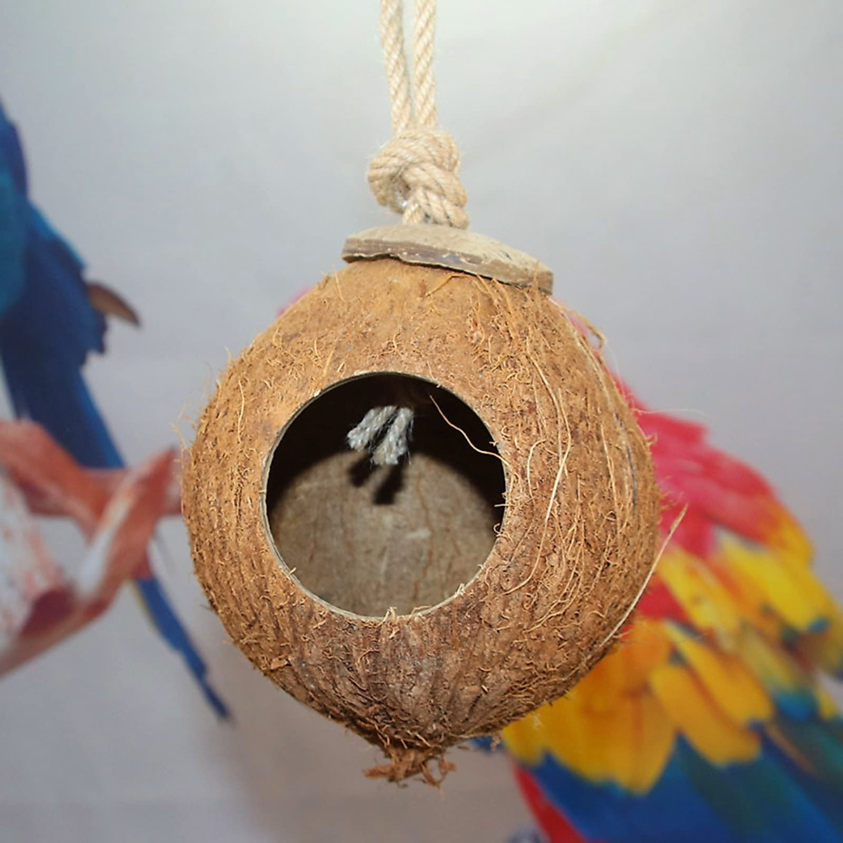 SLDHFE Coconut Bird Nest Hut,Natural Coconut Shell Bird Nest House,Coconut Bird Shell Breeding Nest for Hamster,Bird Cage Accessories,Pet Bird Supplies