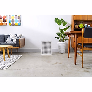 Coway Airmega 150(K) True HEPA Air Purifier (Sage Green) and Coway Airmega 150 True HEPA Air Purifier (Dove White)