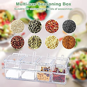 SHAIDOJIO Clear Seasoning Box, 4 Piece Seasoning Rack Spice Pots, Plastic Storage Container Condiment Jars with Lids and Spoon, Kitchen Organization Containers for Spice, Salt, Sugar, Cruet