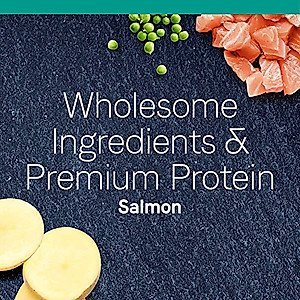 Canidae Pure Limited Ingredient Premium Dry Cat Food, Real Salmon Recipe, 10 lbs, Grain Free