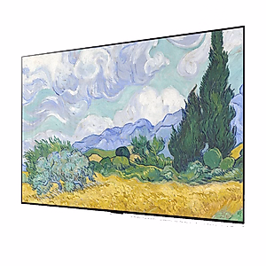 LG OLED65G1PUA 65 Inch OLED evo Gallery TV Bundle with Premium 2 YR CPS Enhanced Protection Pack