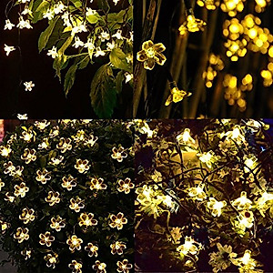 Fairy Lights Christmas Decorative Flower String Lights 33 Feet 100 LEDs, 8 Flash Modes with Tail Plug Connectable Cherry Flower Decorations Novelty Light for Party, Patio, Wedding, Home and Garden