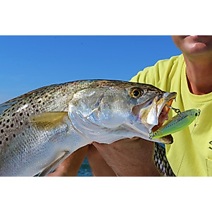 Yo-Zuri R1210-HGBL 3D Inshore Popper, Color, Gold Black, 70mm 2-3/4'