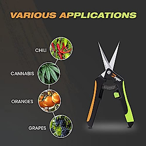 Zegos Bud Trimming Scissor 2 Packs Combo with Sorted Straight and Curved Blades, Precision Pruning Shears, Hand Pruning Snips, Garden Scissors for Herb and Bud Trimming, Bonsai Cutting