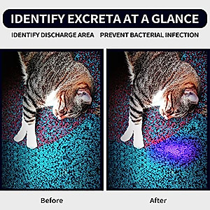 LELUOHQ Black UV Handheld Flashlights,9 LED Mini Light 395nm,Portable Pet Stain Detector for Pet Urine,Bed Bugs