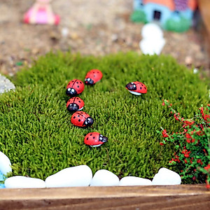 200 Pcs Mini Wooden Ladybugs Stickers with 3 Sizes for Fairy Garden Home Decor
