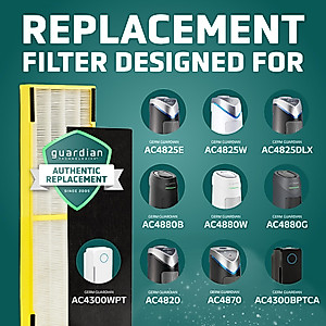 Germ Guardian FLT4825 HEPA GENUINE Air Purifier Replacement Filter B for GermGuardian AC4300BPTCA, AC4900CA, AC4825, AC4825DLX, AC4850PT, CDAP4500BCA, CDAP4500WCA and More, 1-Pack , Gray