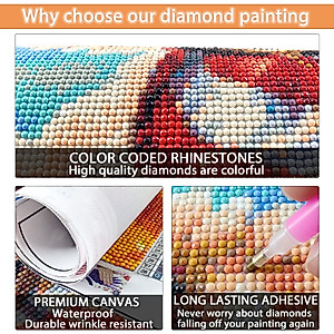 Eterkosu Christmas Diamond Art Paintings Kits for Adults and Kids,Cardinal Bird 5D DIY Round Full Drill Diamond Dots Paintings for Beginners, Diamond Art Craft Canvas Picture Home Wall Decor