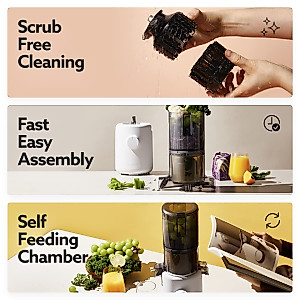 Hurom H310A Personal Self Feeding Slow Masticating Juicer (H310A Lavender)