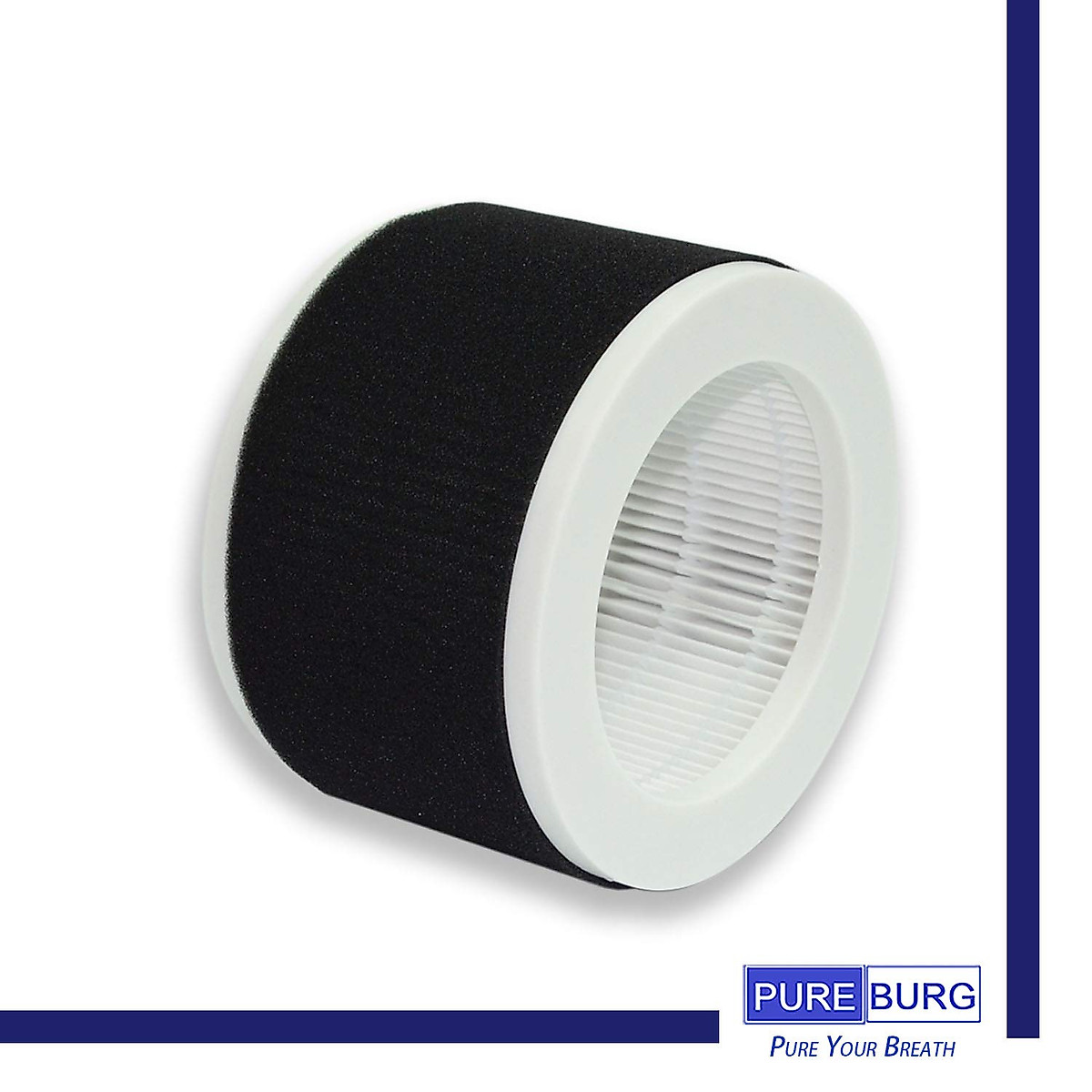 PUREBURG EPI810 Replacement Filters Compatible with Mooka & KOIOS EPI810 Air Purifiers,H13 HEPA 3-Stage Filtration Activated Carbon Air Clean Dust VOCs,2-Pack