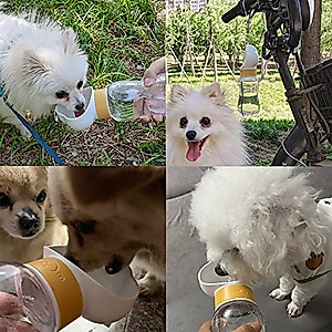 Marchul Dog Water Bottle Leak Proof Portable Travel Dog Water Dispenser for Pets Walking, Hiking