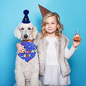 Dog Birthday Bandana Scarf, Boy Dogs Birthday Hat with Number, Doggy 1st Birthday Party Supplies for Small Medium Dog Puppy Outfits (Blue)