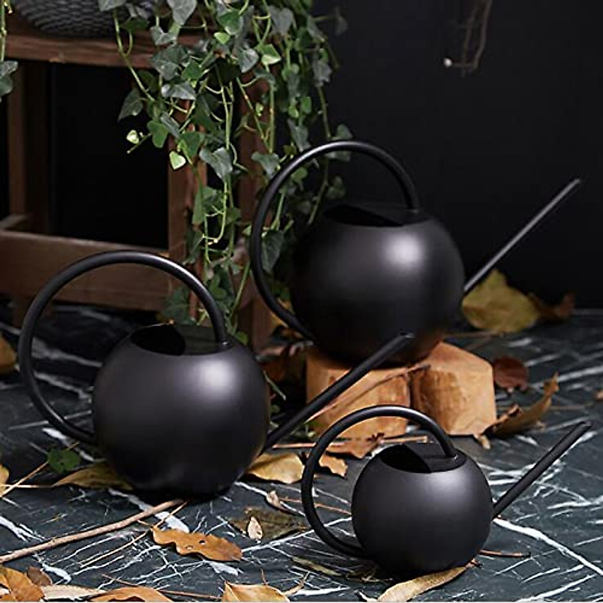 BDGWOIP Indoor Outdoor Watering Can, Stainless Steel Flower Cans Long Spout Plants Water Can Mini Device Plant Waterer for House Bonsai Garden Flower, Black, (33B15G0KNRFXX291L8GAWKSO)