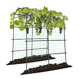 VIVOSUN 7Ft. Arch Trellis for Climbing Plants, 7 x 6 x 7ft Tall Metal Tunnel Trellis, Lightweight Metal Plant Support Archway with Nylon Netting for Climbing Vine, Vegetables, Fruits, Flowers, Black