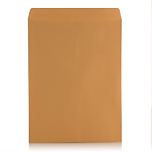 9 X 12 Self-Seal Brown Kraft Catalog Mailing Envelopes - 28lb - 100 Count, 9x12 Inch (38300)