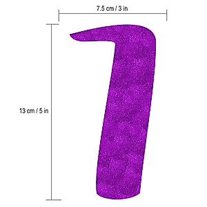 70 Never Looked So Good Purple Glitter Banner - 70th Birthday Decorations and Supplies