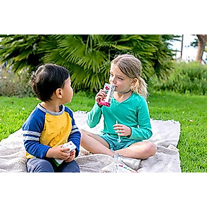 Hint Kids Water Variety Pack of 32, 6.75 Ounce 8 Boxes, Each of: Cherry, Watermelon, Apple, & Blackberry, Zero Sugar, Zero Sweeteners, Zero Preservatives, Zero Artificial Flavors