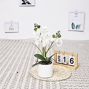 Jusdreen 1 Pcs Ceramic Vase Artificial Orchid Flower Bonsai Vivid Phalaenopsis Flowers Potting for Home Office Décor,Table Centerpiece Room Decorations 14.5 INCH (Ceramic Pot/White Orchid)