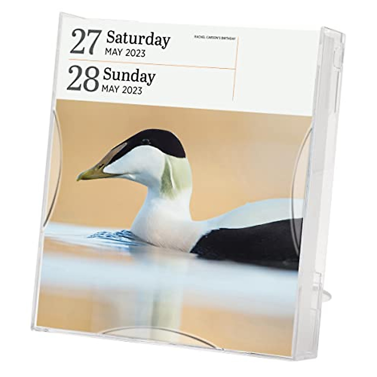 Audubon Birds Page-A-Day Gallery Calendar 2023: Hundreds of Birds, Expertly Captured by Top Nature Photographers