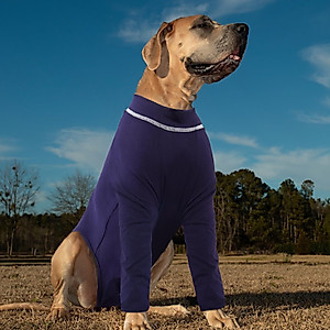 ROZKITCH Dog Surgery Recovery Sleeve for Front Legs, Anti-Lick Wound Protector with Zipper, Dog Elbow Brace for Joint Care, ACL/CCL Sprain, Arthritis, Post-Op Suit, Cone Collar Alternative Blue S