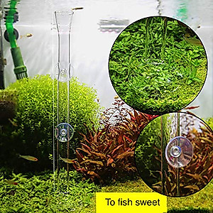 Aquarium Shrimp Feeding Tube and Dish, Clear Crystal Glass Fish Tank Shrimp Feeder Tube Tray