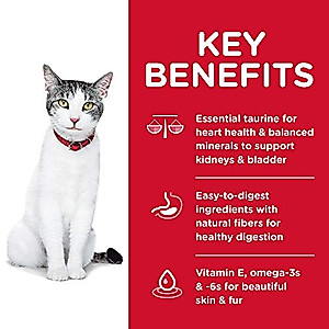 Hill's Science Diet Dry Cat Food, Adult 11+ for Senior Cats, Chicken Recipe, 3.5 lb. Bag