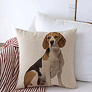 Decorative Throw Pillow Covers Brown Dog Beagle Sitting White Away Animals Studio Wildlife Black Canine Looking Carnivore Cut Out Funny Square Cushion Pillowcase Covers Sofa Bench 20x20 Inch