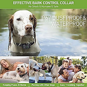 2 Pack Rechargeable Dog Bark Collar, Anti Barking Collar with 5 Sensitivity, No Shock Bark Collar with Vibration&5 Variable Beep, IP67 Waterproof Smart Bark Training Collar for Large Medium Small Dogs