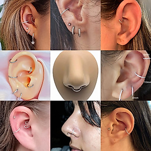 FUNLMO Septum Jewelry Nose Rings Hoop Cartilage Earring Hoop Daith Helix Rook Earrings Septum Helix Tragus Daith Piercing Jewelry Septum Nose Rings CZ 316L Surgical Steel 16G 8mm Rainbow