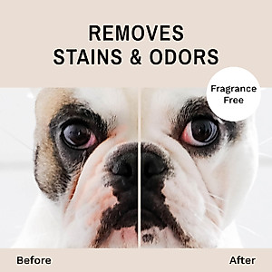 Eye Envy Bulldog Wrinkle Wipes | Wrinkle Wipes for French Bulldog, Pug, English Bulldog | Cleans Wrinkles, Bulldog Tail Pockets | Removes stains and odors | Natural, fragrance free wipes | 60 count