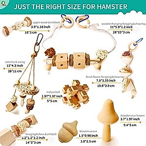 Wepets Hamster Toys, for Hamster, Gerbils, Mice, Rats and Other Small Animals to Chew and Play with, Induce Them to Grind Their Teeth, Reduce Depression. (Pattern-D)